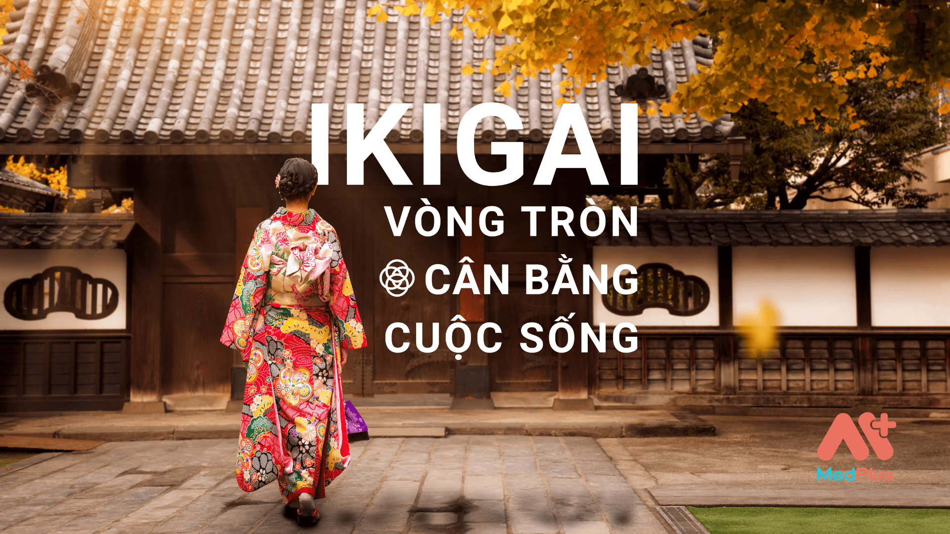 Ikigai - Đi tìm đam mê trong từng trải nghiệm cuộc sống - Medplus Bảo Hiểm